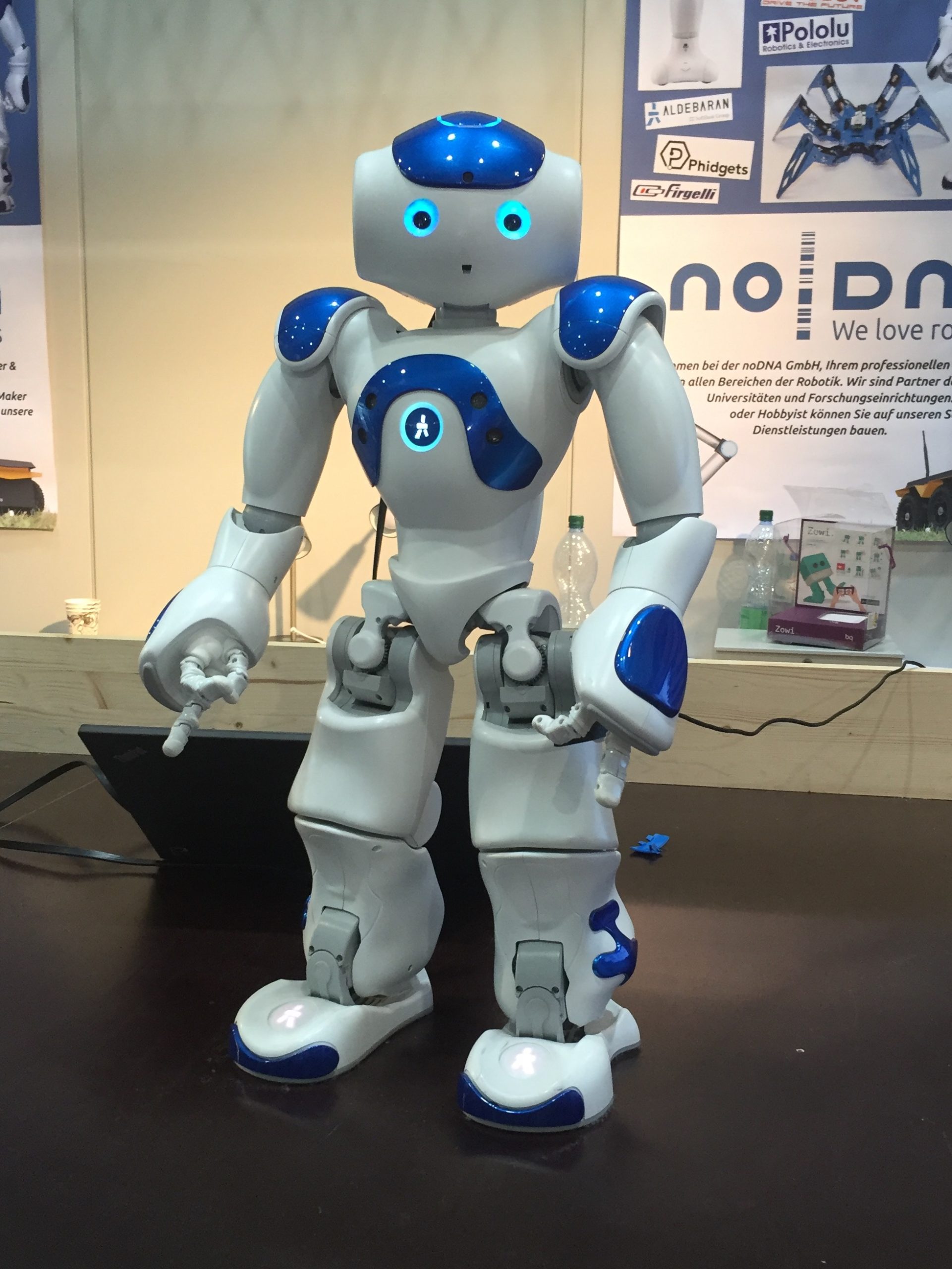 Design and manufacture of a humanoid robot